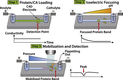 Figure 1 From Capacitively Coupled Contactless Conductivity Detection For Microfluidic Capillary