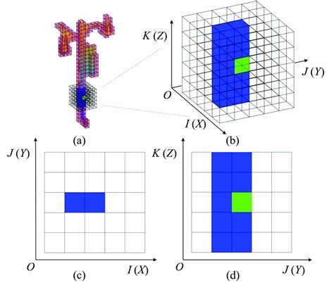Space Structure Of Plo Voxels A Plo Voxels B Neighborhood Voxels