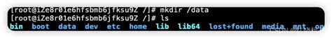 linux挂载未分配的磁盘空间 linux查看未分配的磁盘 csdn博客