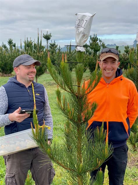 Tree Breeding Australia On Linkedin Recently Appointed Geneticist Dr Jaroslav Klapste With Tree