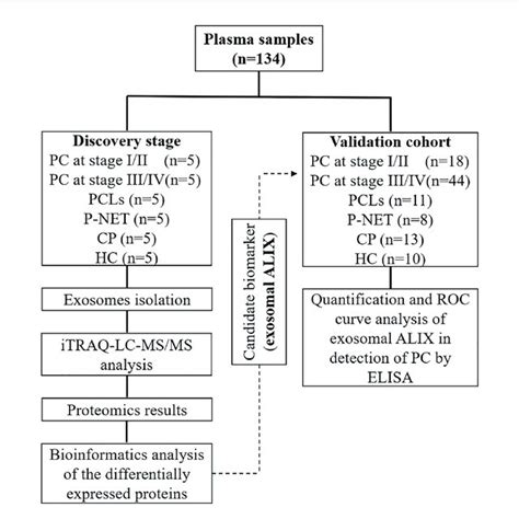 Schematic Workflow Of The Study Download Scientific Diagram
