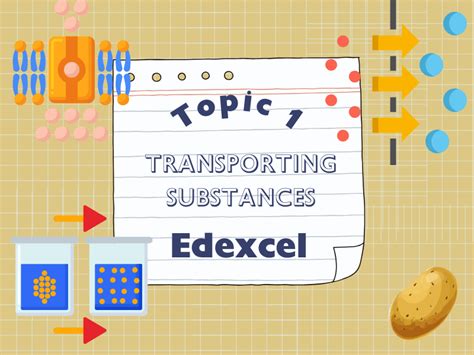 Osmosis Diffusion Active Transport Combined Science Edexcel Gcse 9 1 Topic 1 Teaching