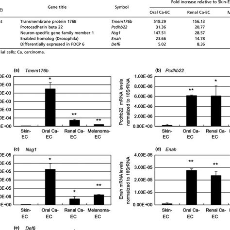 Representative Data Of Dna Microarray Analysis Download Table