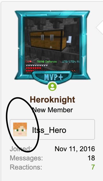 Actual Skin Not Showing Up On The Forums Hypixel Forums