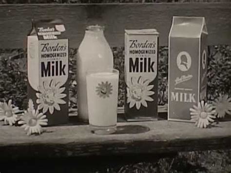 Vintage Borden Dairy Company Milk Commercial