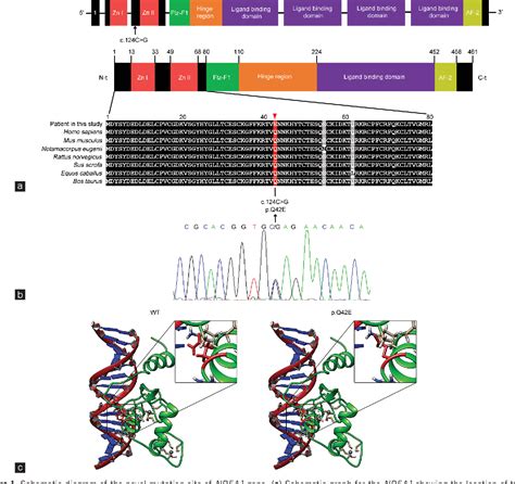 Figure From Epididymis Cell Atlas In A Patient With A Sex Development Disorder And A Novel