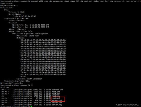 Postgresql开启openssl通讯加密如何查看pg数据库是否开启ssl Csdn博客