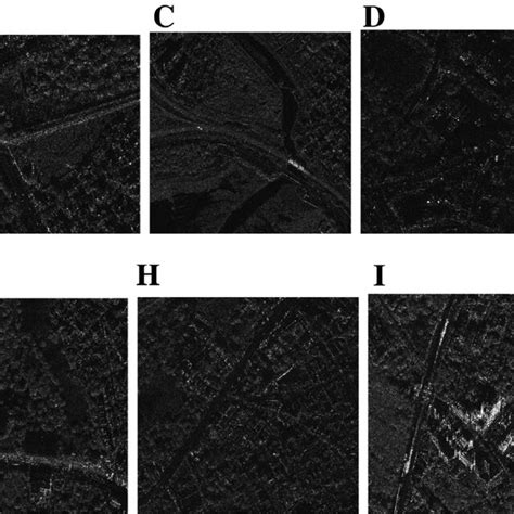 Images Obtained After Convolving The Test Image With The Fractional Download Scientific Diagram