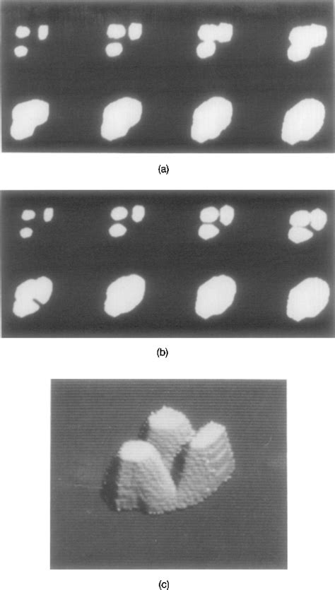 Figure 1 From Morphology Based Interpolation For 3d Medical Image