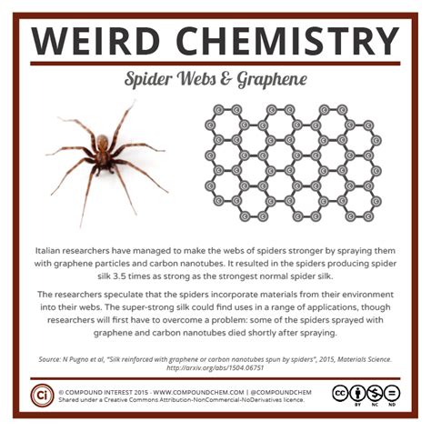 Chemical Makeup Of Spider Web Mugeek Vidalondon