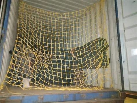 Container Safety Net At ₹ 450piece Knotted Safety Nets In Mumbai