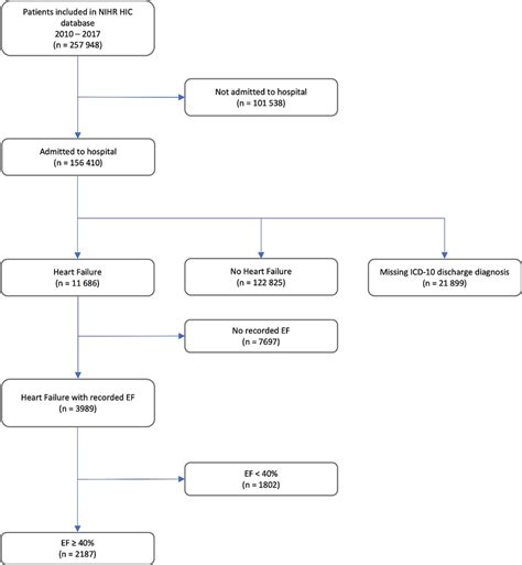Strobe Diagram Ef Indicates Ejection Fraction Hic Health Informatics Download Scientific