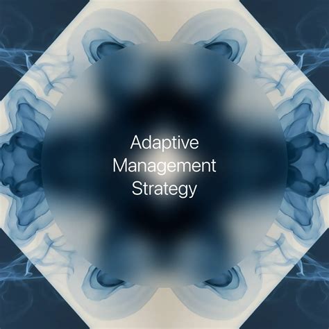 Adaptive Management Strategy → Term
