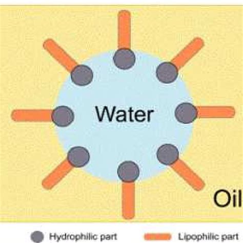 Some Commonly Used Emulsifying Agents Their Hlb Values Download