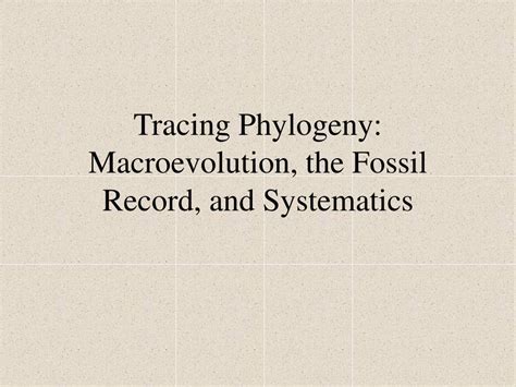 Ppt Tracing Phylogeny Macroevolution The Fossil Record And