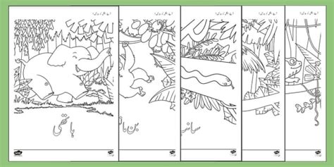 جنگل کے جانوروں میں رنگ بھریں Jungle Animals Colouring