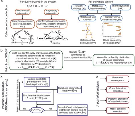 Construction Of Feasible And Accurate Kinetic Models Of Metabolism A Bayesian Approach