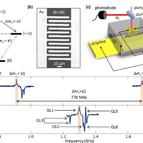 A The Orbital Ground State Spin Structure Of The Ql1 Defect With Δ Download Scientific