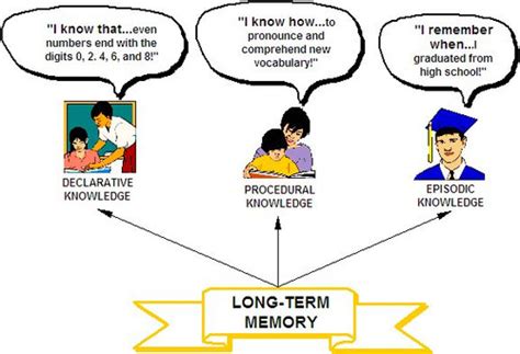Types Of Longterm Memory Explanations For Forgetting Flashcards Quizlet