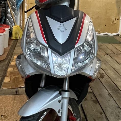 Irbis grace 150 – купить в Жатавшем, цена 50 000 руб., дата размещения ...