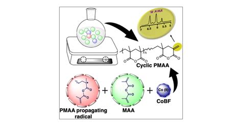 Synthesis Of Soluble Polymethacrylic Anhydride By Radical Cyclopolymerization Macromolecules
