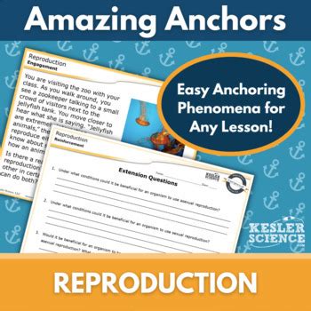 Anchoring Phenomenon Sexual Asexual Reproduction MS 6 8 By Kesler Science