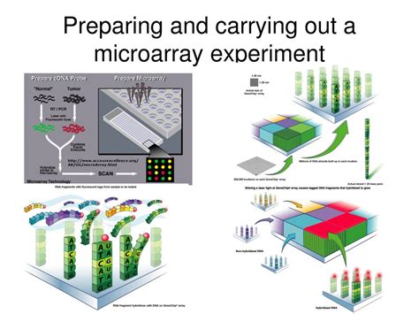 ppt geo—gene expression omnibus powerpoint presentation free