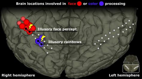 Bci System Unlocking Remarkable New Possibilities For Brain Computer Communication G Tec