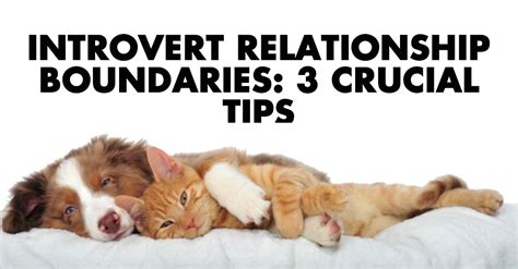 Introvert Relationship Boundaries 3 Crucial Tips Introvert Spring