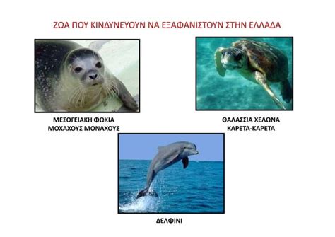 ΖΩΑ ΥΠΟ ΕΞΑΦΑΝΙΣΗ Pdf