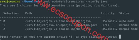 Debian 12安装java Jdk 21及设置javahome变量方法 趣云笔记
