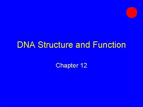 DNA Structure And Function Chapter 12 Miescher Discovered