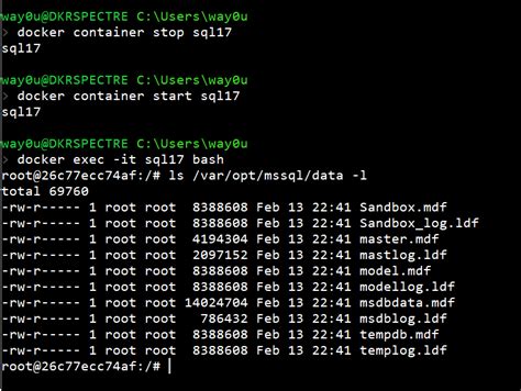 Stairway To Database Containers Level 2 Persisting Storage In