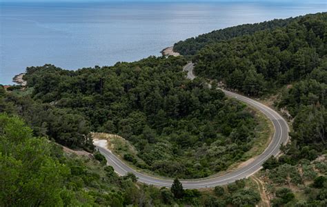바다 바로 옆에 있는 숲을 가로지르는 아스팔트 도로를 따라 달리는 구불구불한 길 0명에 대한 스톡 사진 및 기타 이미지 0명 거리 겨울 Istock