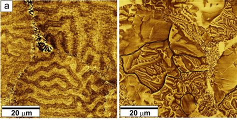 Figure 1 From Imaging Of Magnetic Domain Structure In Fesi Mn {0 8}zn {0 2}fe 2o 4 Composite
