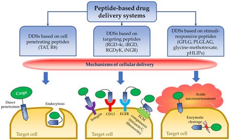 Peptide Based Drug Delivery Systems