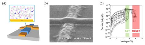 Figure A 4 A Schematic Representation And B Sem Image Of A Download Scientific Diagram