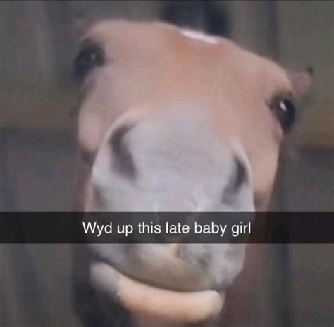 Френк Галлагер Frank Gallagher Сексуальные актеры Кинозвезды Фотографии знаменитостей