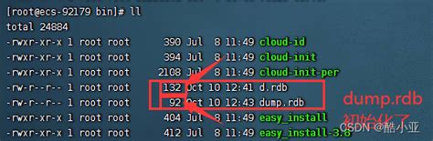 redis持久化之rdb（详解） redis dump rdb csdn博客