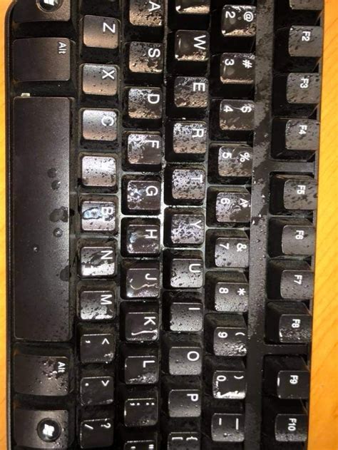 My Wife Was Trying To Blow The Crumbs Off Her Keyboard With Canned Air It Was Actually Wd