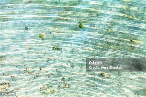 바닷물 파도 질감 수면의 잔물결 투명한 하늘색 바다 물 평면도 맑은 아쿠아 배경 태양 빛 반사 하얀 모래 바닥 수중 돌 열대 섬 해변 0명에 대한 스톡 사진 및 기타 이미지