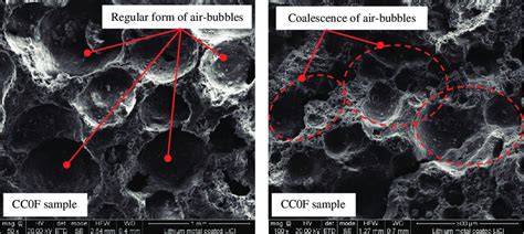 Sem Micrographs Of Cellular Specimen Microstructure Download Scientific Diagram