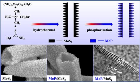 Schematic Illustration Of The Formation Of The Hierarchical Tubular