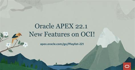 Mónica Godoy On Linkedin Orclapex Lowcode Oracle