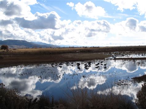 Bird Watchers In Lake County Oregon Facebook