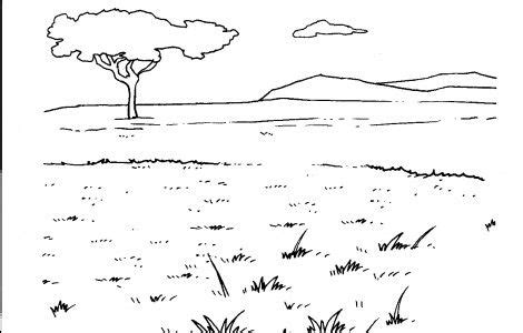 Free Coloring Pages Savannah Grasslands [2025]