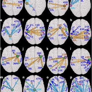 A Diagram Of Input And Output Causal Connections Two Sided P Download Scientific Diagram