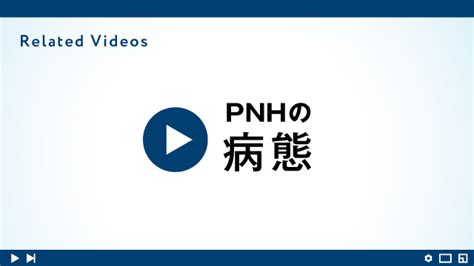 発作性夜間ヘモグロビン尿症（pnh）～ピアスカイ関連情報～ ｜plus Chugai 中外製薬医療関係者向けサイト（医師向け）