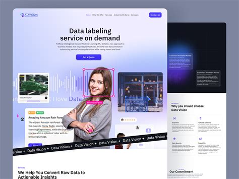 Data Labeling Uiux Data Labeling Website Ui Design By Syed Azhar
