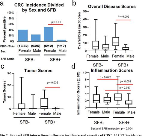 Figure 2 From Interactions Of Segmented Filamentous Bacteria Candidatus Savagella And
